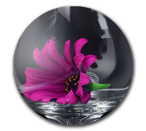 Custom Glass Paperweights | Personalized Paperweights