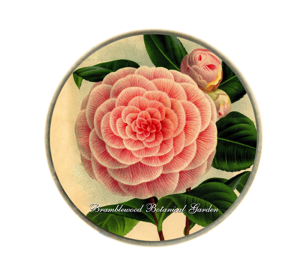 Custom Glass Paperweights | Personalized Paperweights