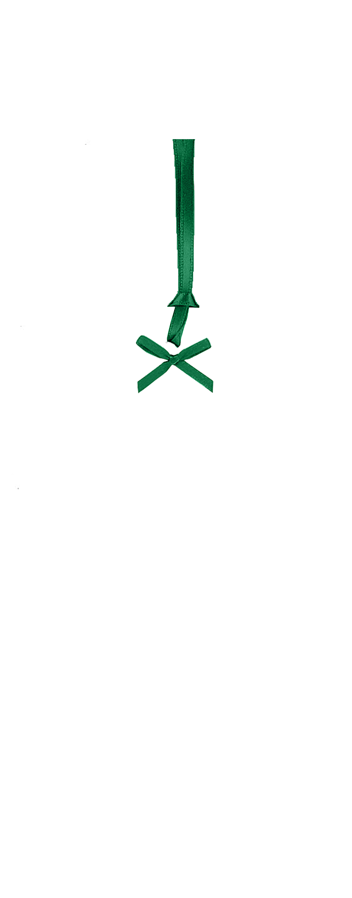 Custom Ceramic Ornaments | Full Color with Ribbon & Bow & Gift Box