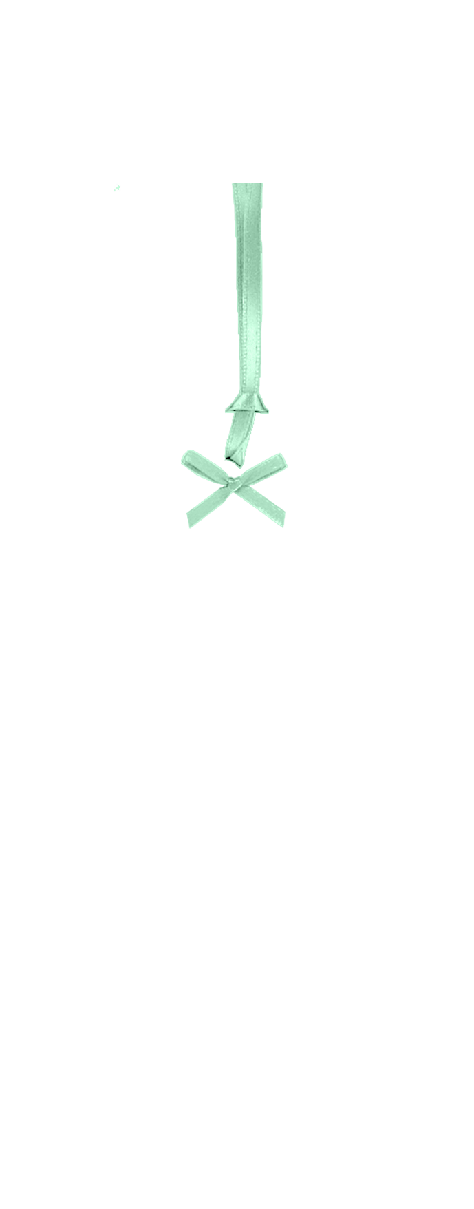 Custom Ceramic Ornaments | Full Color with Ribbon & Bow & Gift Box