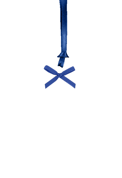 Custom Ceramic Ornaments | Full Color with Ribbon & Bow & Gift Box