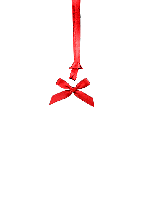 Custom Ceramic Ornaments | Full Color with Ribbon & Bow & Gift Box